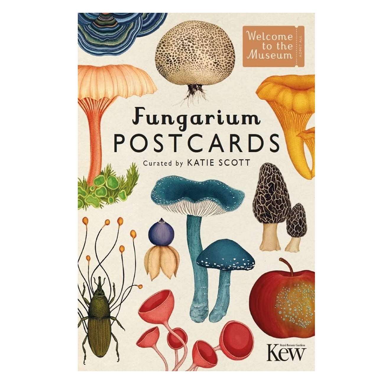 Fungarium Postcards – Intrepid