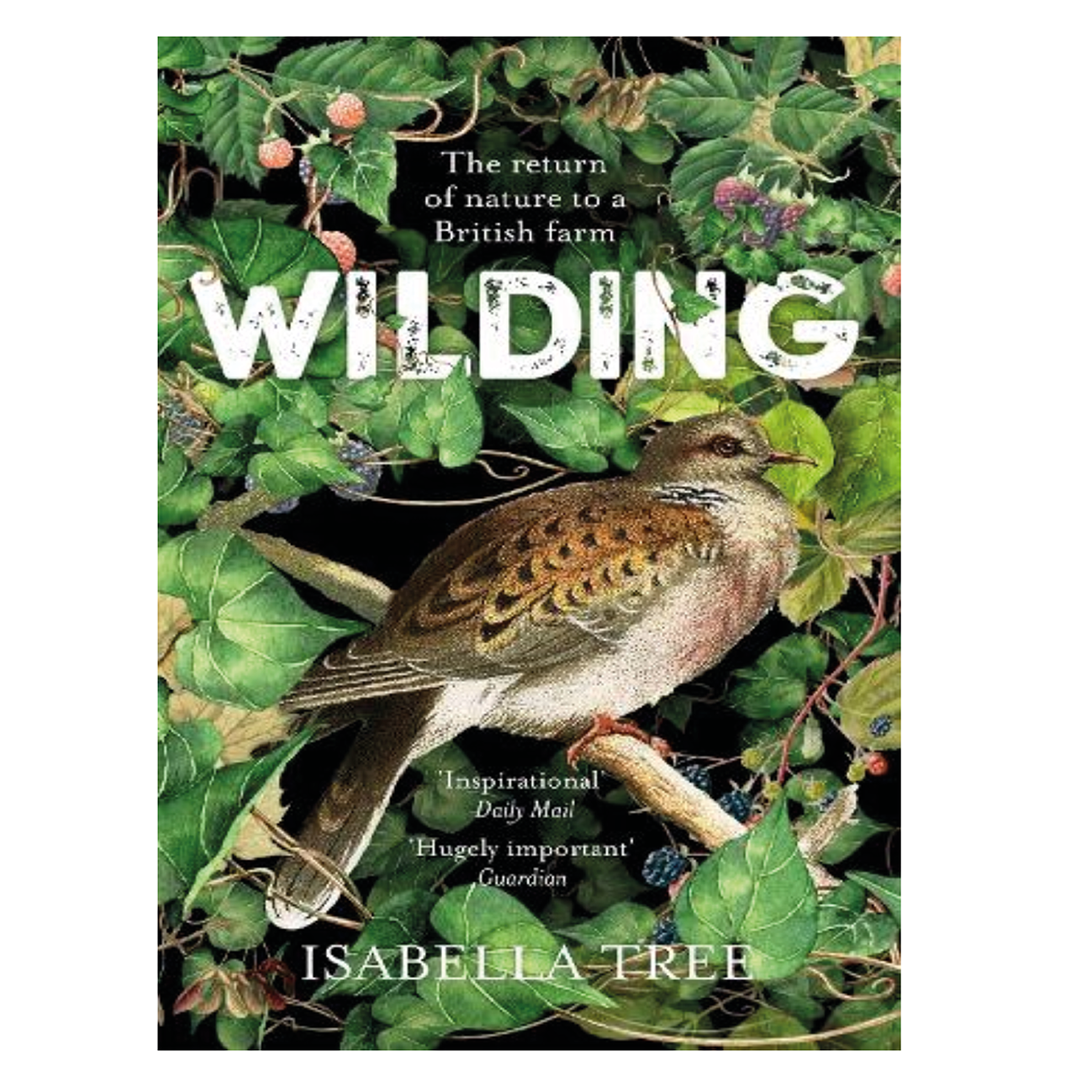 Wilding - Isabella Tree – Intrepid